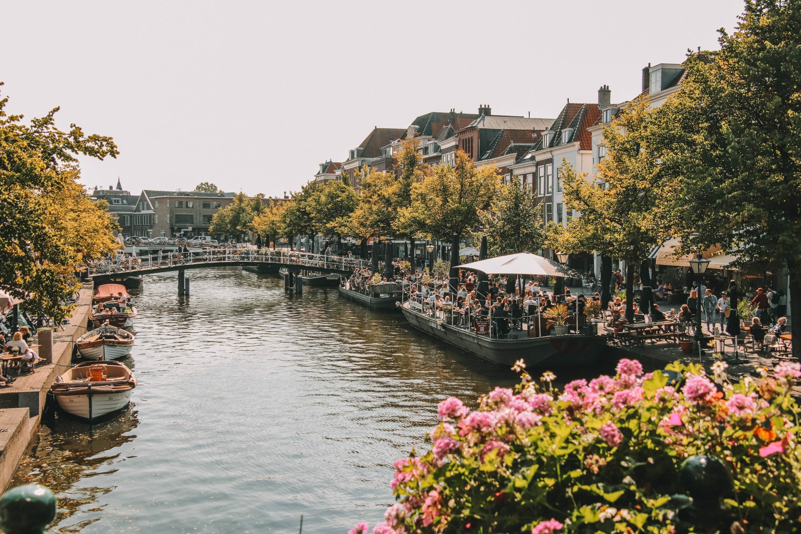 Wat te doen in Leiden: Bezienswaardigheden | TRAVELDICTED