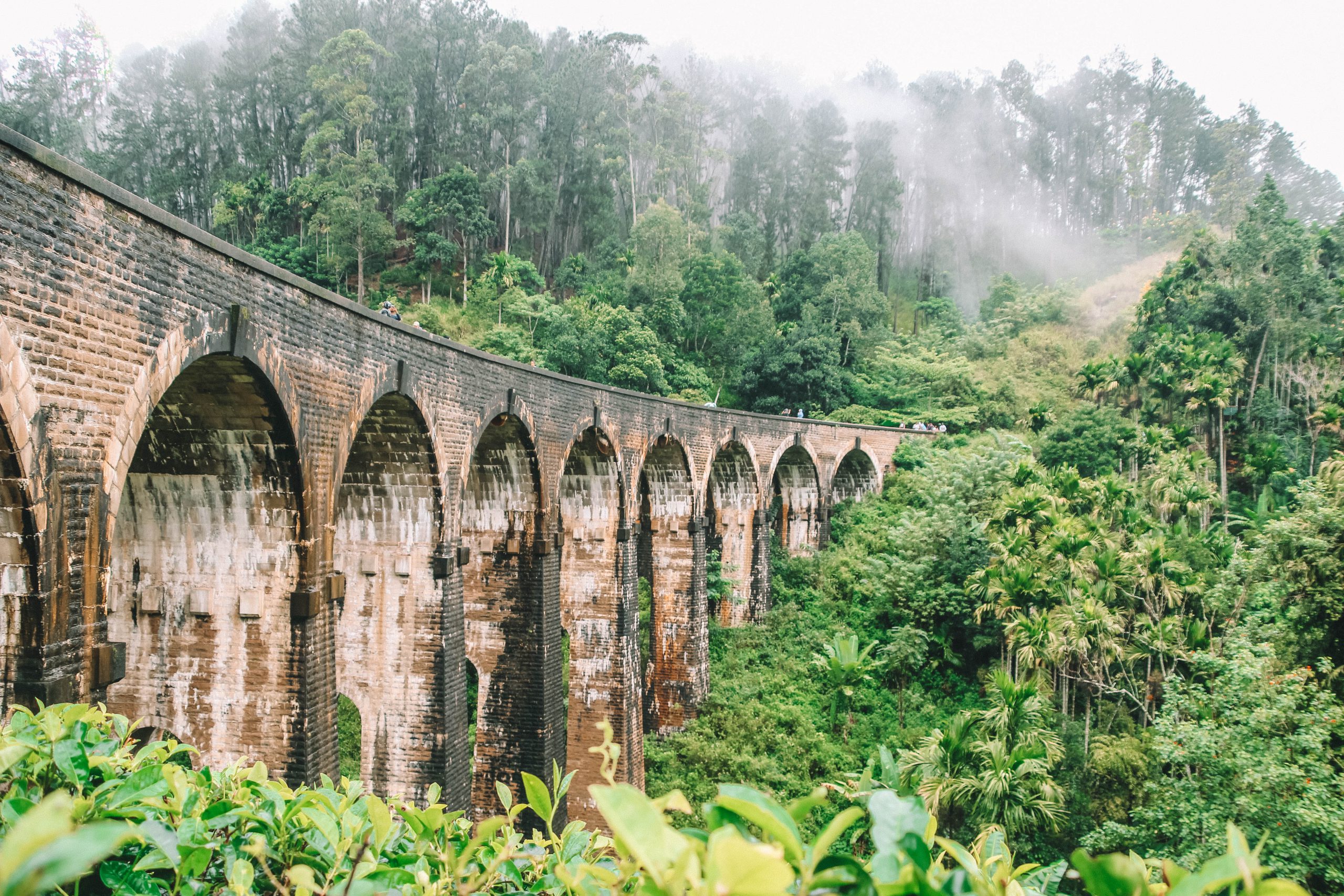 Things to do in Ella: Attractions - TRAVELDICTED