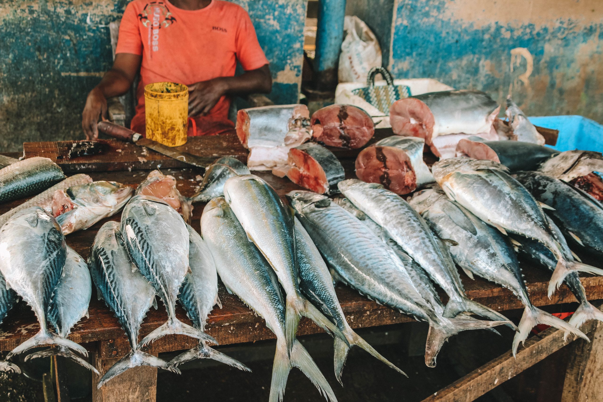 Things to do in Negombo: Attractions - TRAVELDICTED